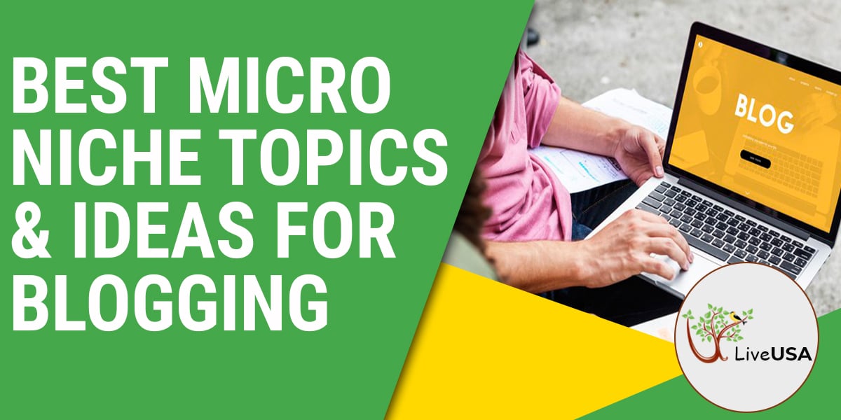 Best Micro Niche Topics & Ideas for Blogging | ULiveUSA