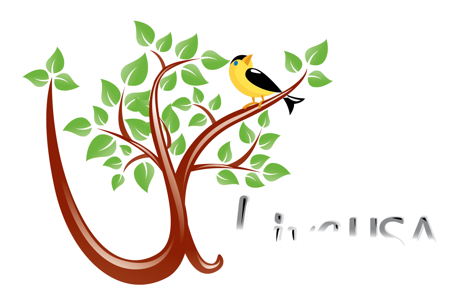 American Expressions: 101 Popular Expressions, Meanings and Their ...